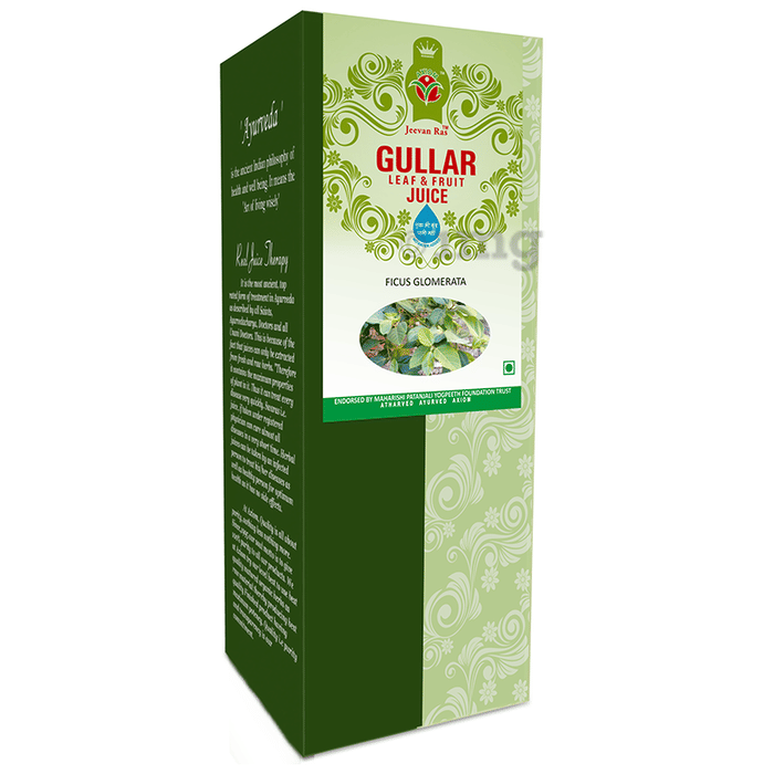Jeevan Ras Gullar Leaf and Fruit Juice: Buy bottle of 500 ml Juice at ...