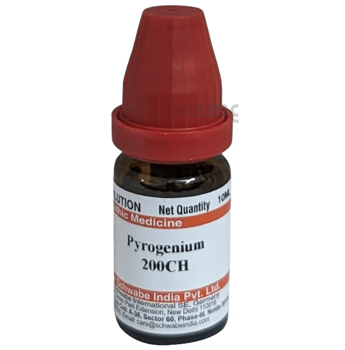 Dr Willmar Schwabe India Pyrogenium Dilution 200 CH: Buy bottle of 10.0 ...