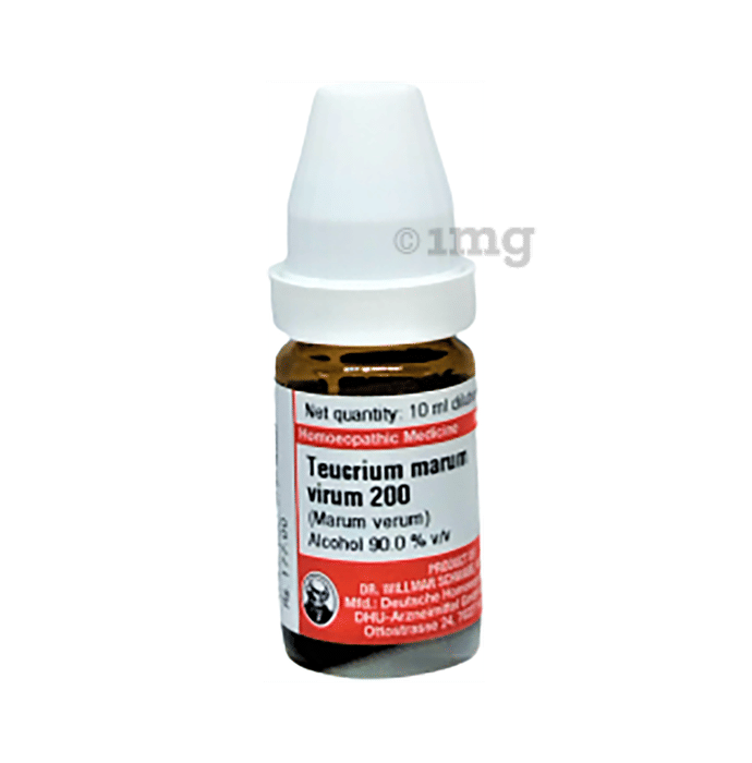 Dr Willmar Schwabe Germany Teucrium marum Virum Dilution 200: Buy ...