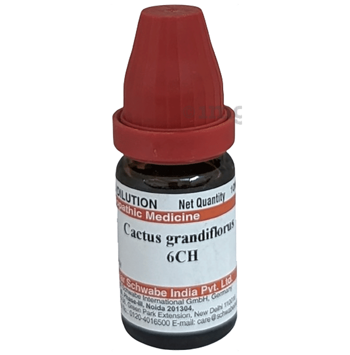 Dr Willmar Schwabe India Cactus Grandiflorus Dilution 6 Ch Buy Bottle