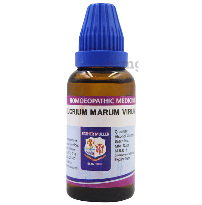 Father Muller Teucrium Marum Virum Drop 30C: Buy bottle of 30.0 ml Drop at best price in India | 1mg