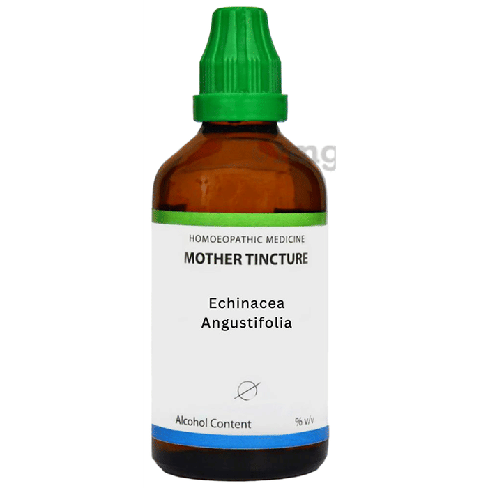 LDD Bioscience Echinacea Angustifolia Mother Tincture Q: Buy bottle of ...
