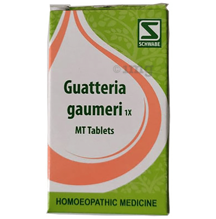 Dr Willmar Schwabe India Guatteria Gaumeri Mt Tablet 1x Buy Bottle Of
