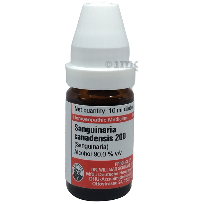 Dr Willmar Schwabe Germany Sanguinaria Canadenis Dilution 200 Buy