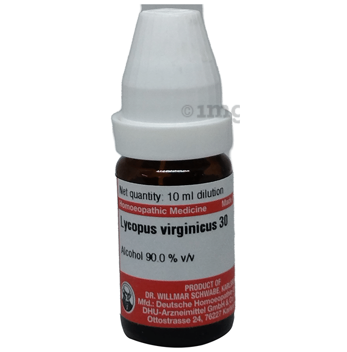Dr Willmar Schwabe Germany Lycopus Virginicus Dilution 30 Buy Bottle