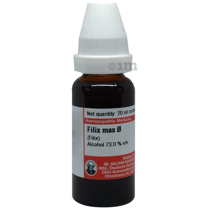 Dr Willmar Schwabe Germany Filix Mas (Filix) Mother Tincture Q: Buy ...