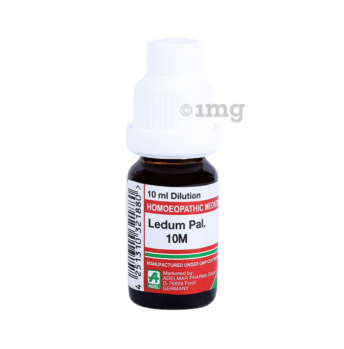 ADEL Ledum Pal. Dilution 10M: Buy bottle of 10 ml Dilution at best ...