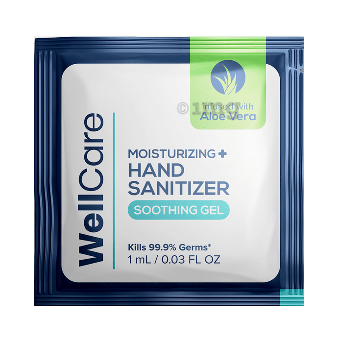 WellCare Moisturizing + Hand Sanitizer Soothing Gel Sachet (1ml Each ...